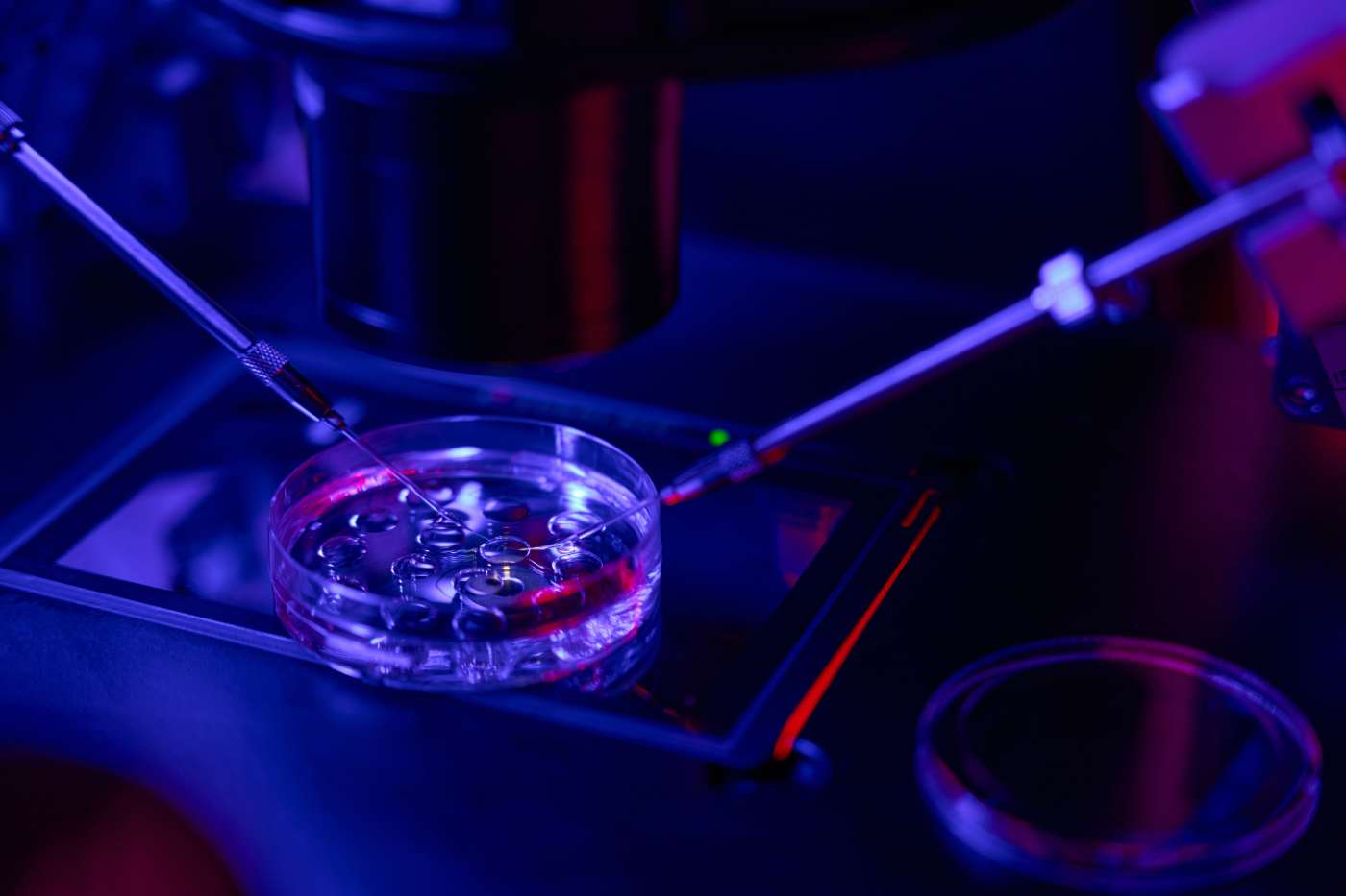 Reproduktionsmedizin der Zukunft: KI, In-vitro-Maturation